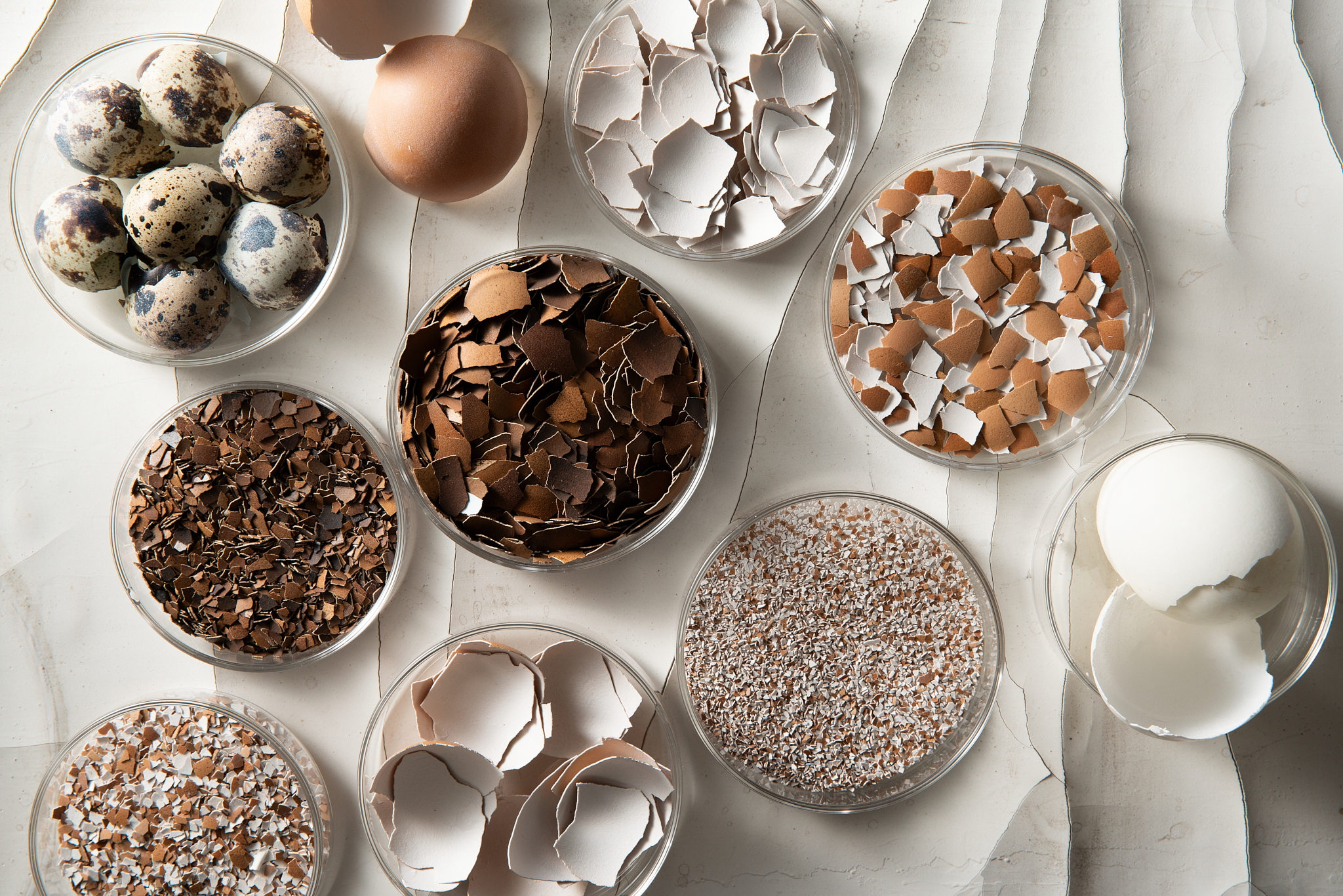 Craftsmanship Matters: the Art of Eggshell Inlay – blog.alexanderlamont.com